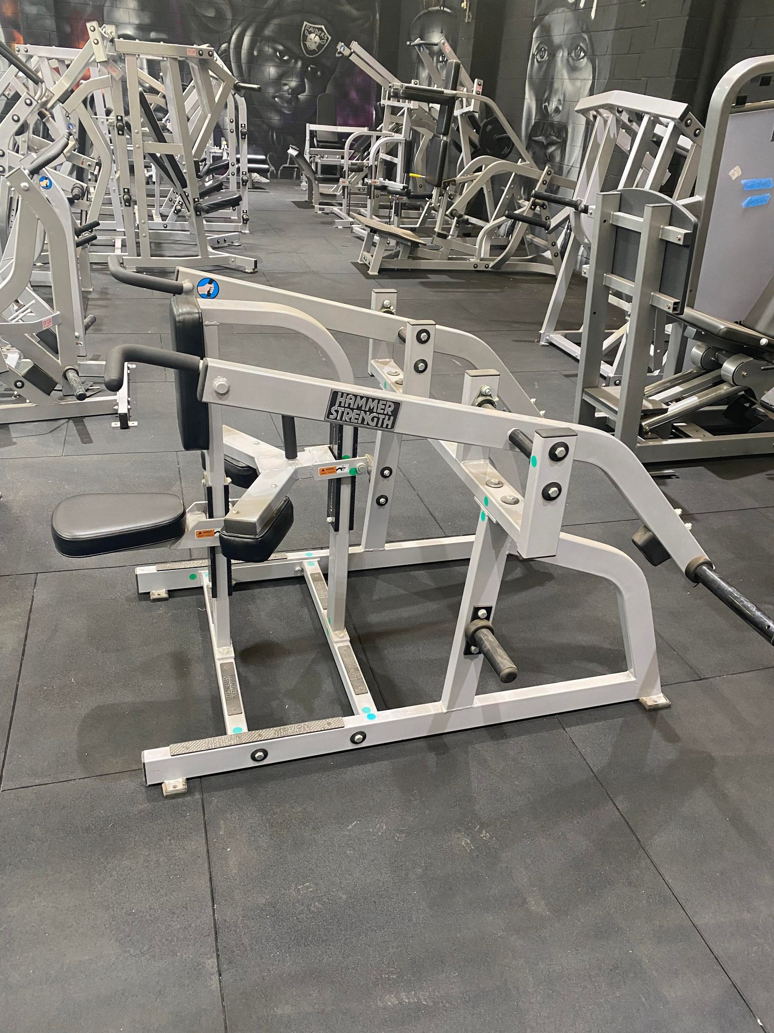 Plate Loaded Dip Machine